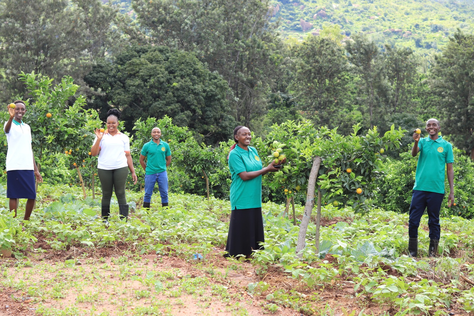 About Us | Aaron Agronomy Services