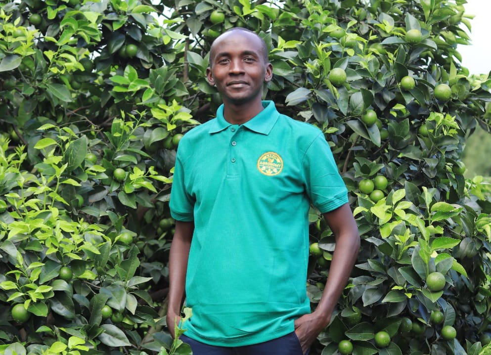 About Us | Aaron Agronomy Services